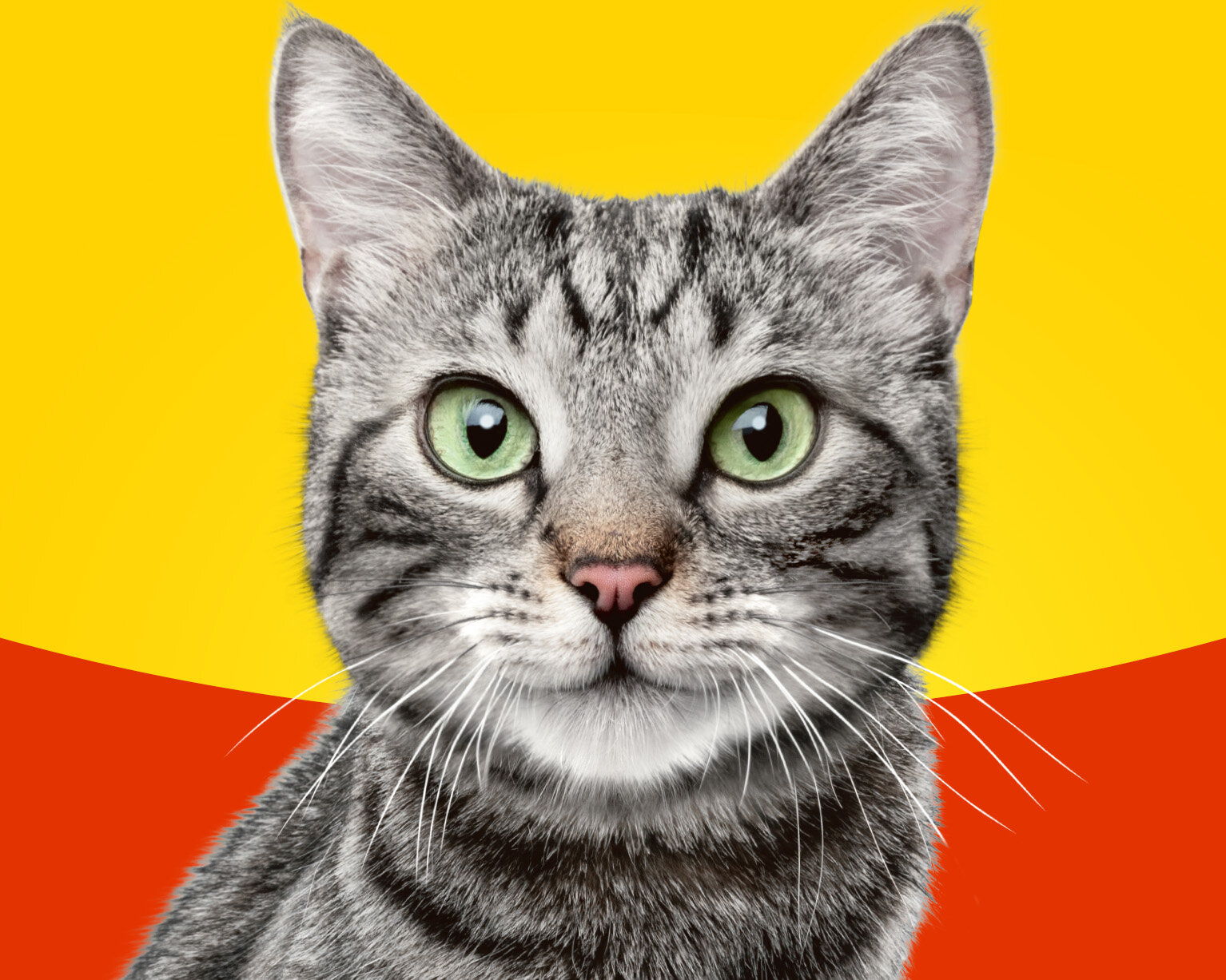 Meow Mix Logo Png
